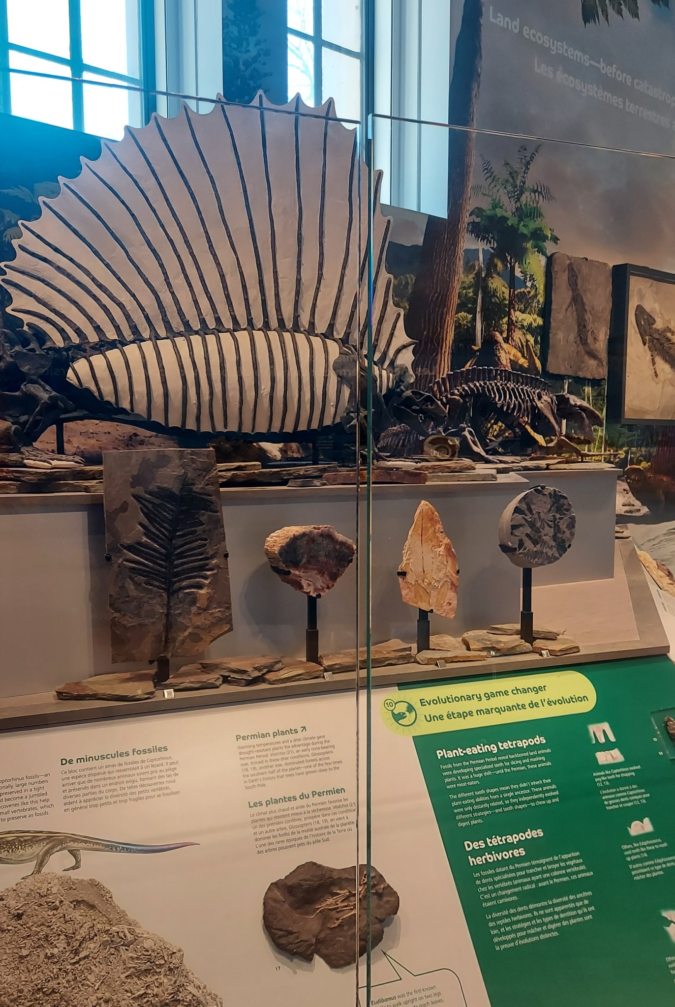 Royal Ontario Museum (ROM) – Toronto – Percursos Literários